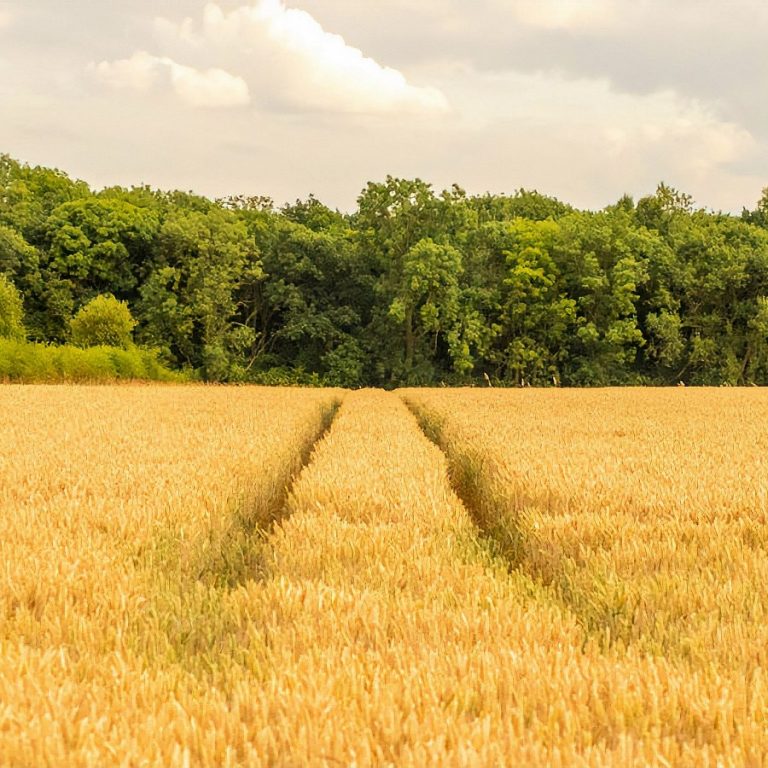 Pictured - Openreach's Future 2.5Gbps ONT for FTTP Broadband UPDATE ...