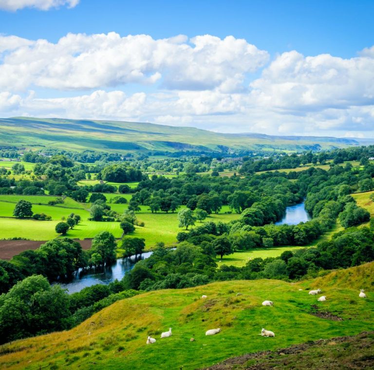 Virgin Media O2 UK Sets Out New Green Transition Plan to Hit Net Zero ...